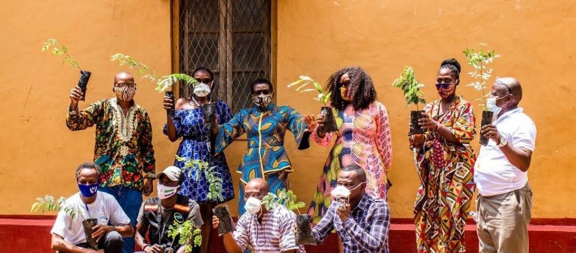 Freetown the TreeTown campaign: Using digital tools to encourage tree ...