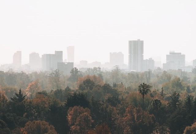 How data and integrated planning approaches can help cities fight air ...