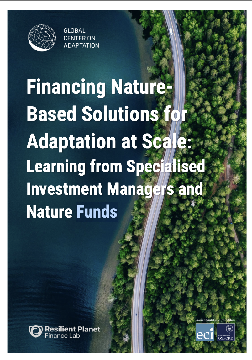 Financing NatureBased Solutions for Adaptation at Scale: Learning from ...