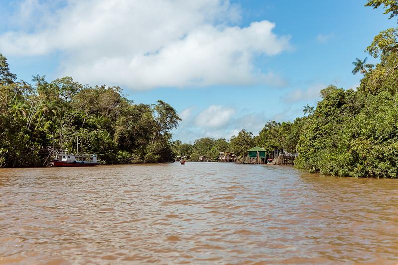 How an Urban Bioeconomy can Promote Healthy Ecosystems and Spur ...