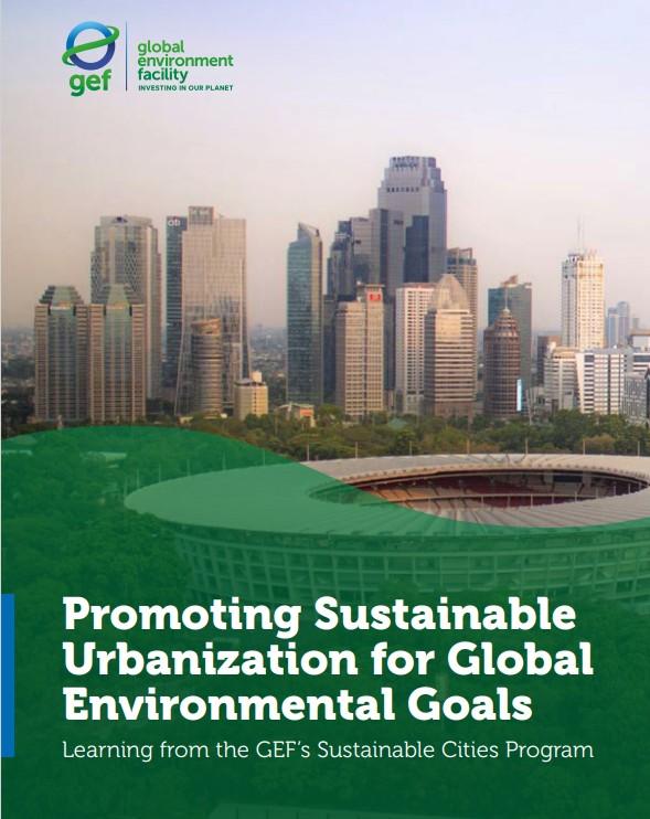 Promoting Sustainable Urbanization for Global Environmental Goals ...